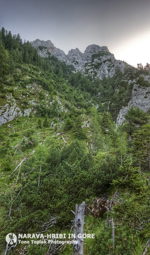 Narava hribi in gore: Grapa za Vrati-Planjava 2392m