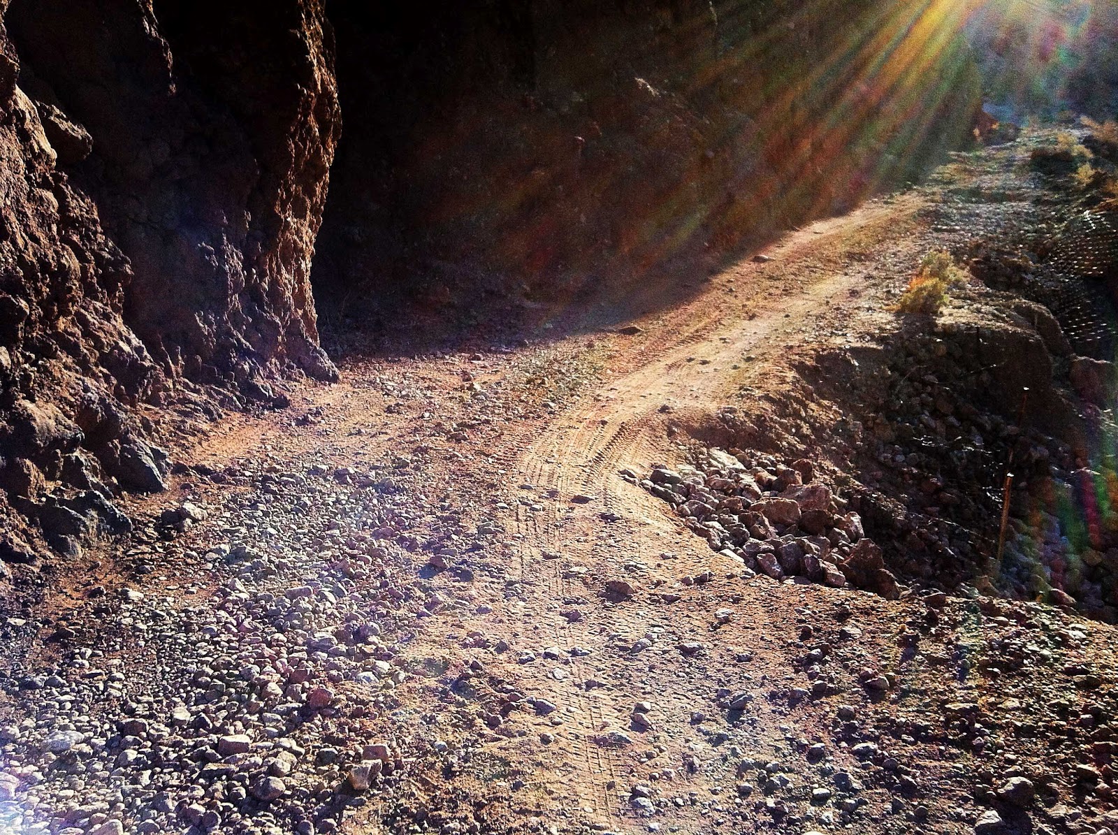 Mark Lilly Photography