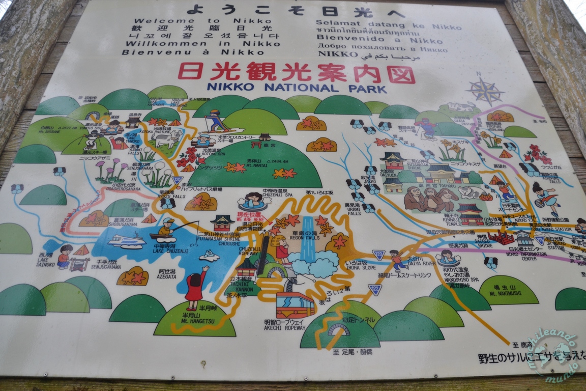 Excursión a Nikko desde Tokio (por libre y en tour)