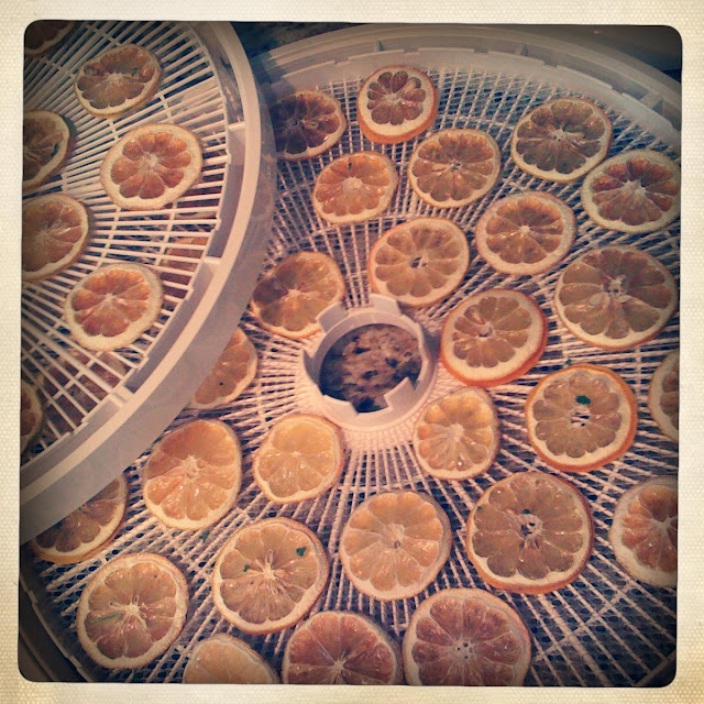 Come Together With No Harm Done: Dried Lemons