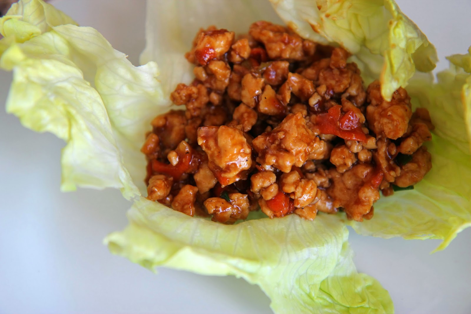 Review of the Ninja Ultima Blender & Chicken Lettuce Cups