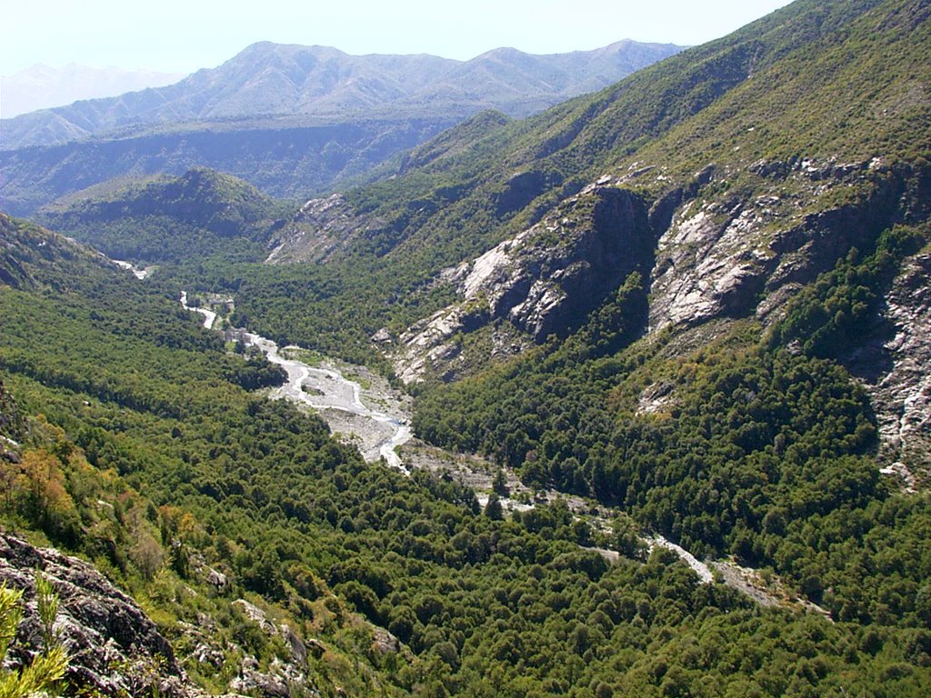 Las andanzas de Jorgito... por:: Coihueco