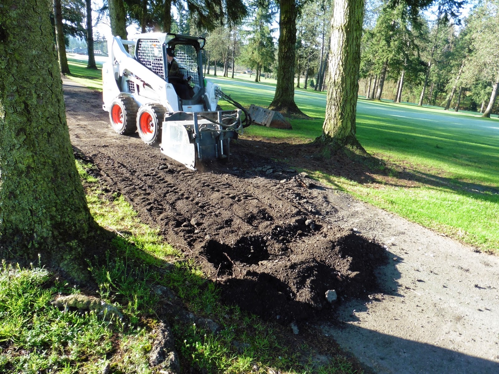 Glendale Country Club: Cart path root removals