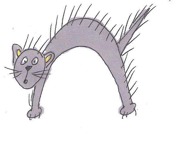 A Happy Valentine: Boo Scaredy Cat, get Gone!!!