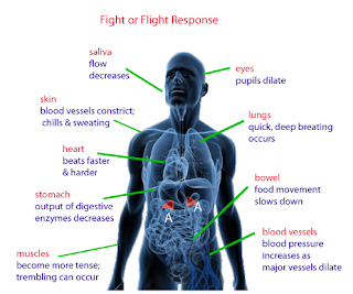 Medical Tips and News: The fight-or-flight response