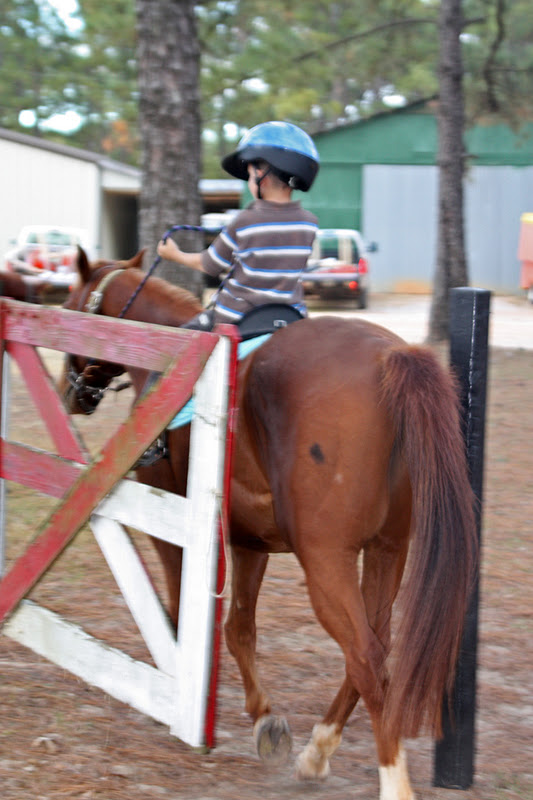 Beloved Bride: A "Practical" Horse Obstacle Course