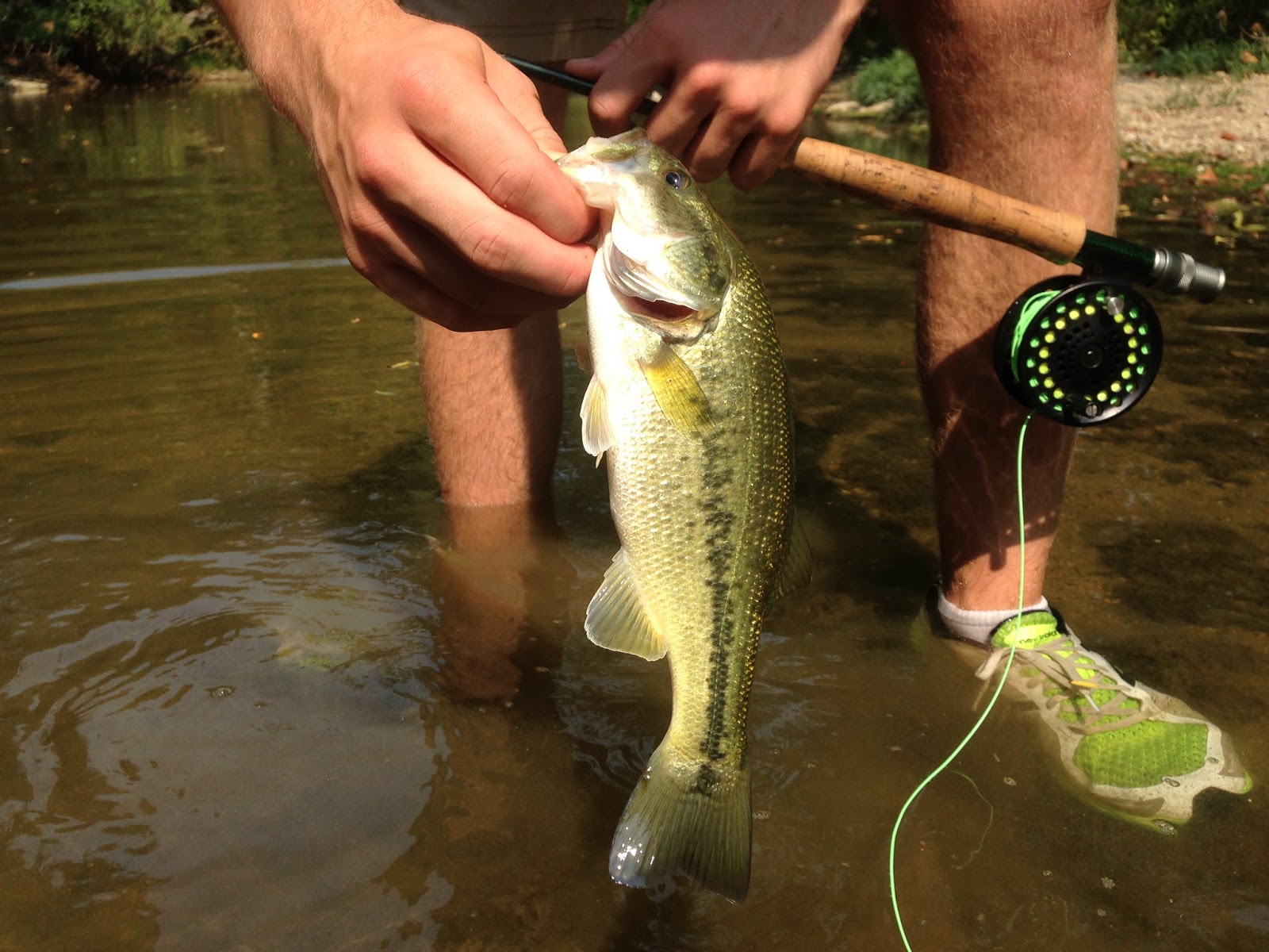 Backyard Fishing Adventures: Summer Wet Wading and Creek Fishing