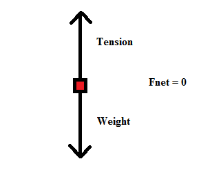 Juan Serrano's Physics Lab Journal: Centripetal Force