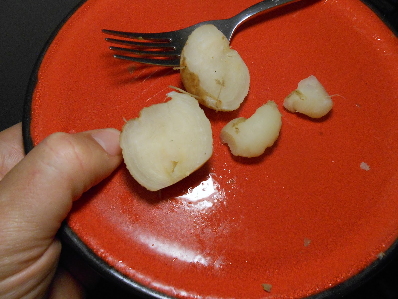 Anchote: Out of Africa