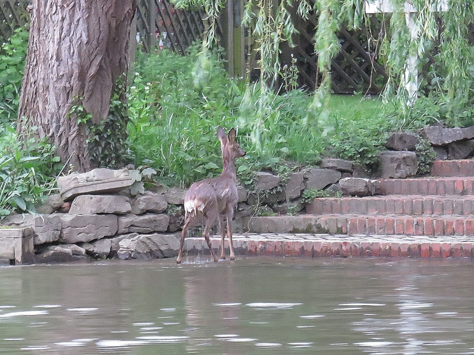 Kev & Deb's cruise: Marlow to Frouds Bridge Marina