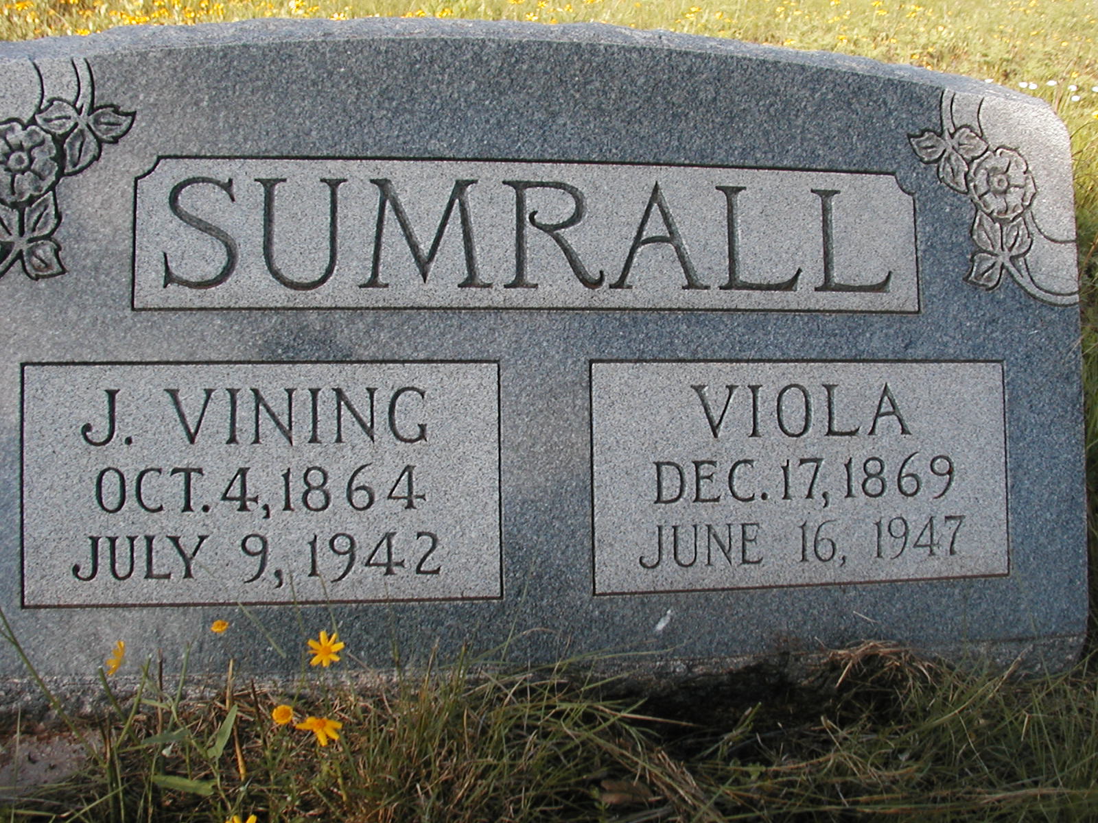 Sumrall Holder Vining: Sumrall, James Vining