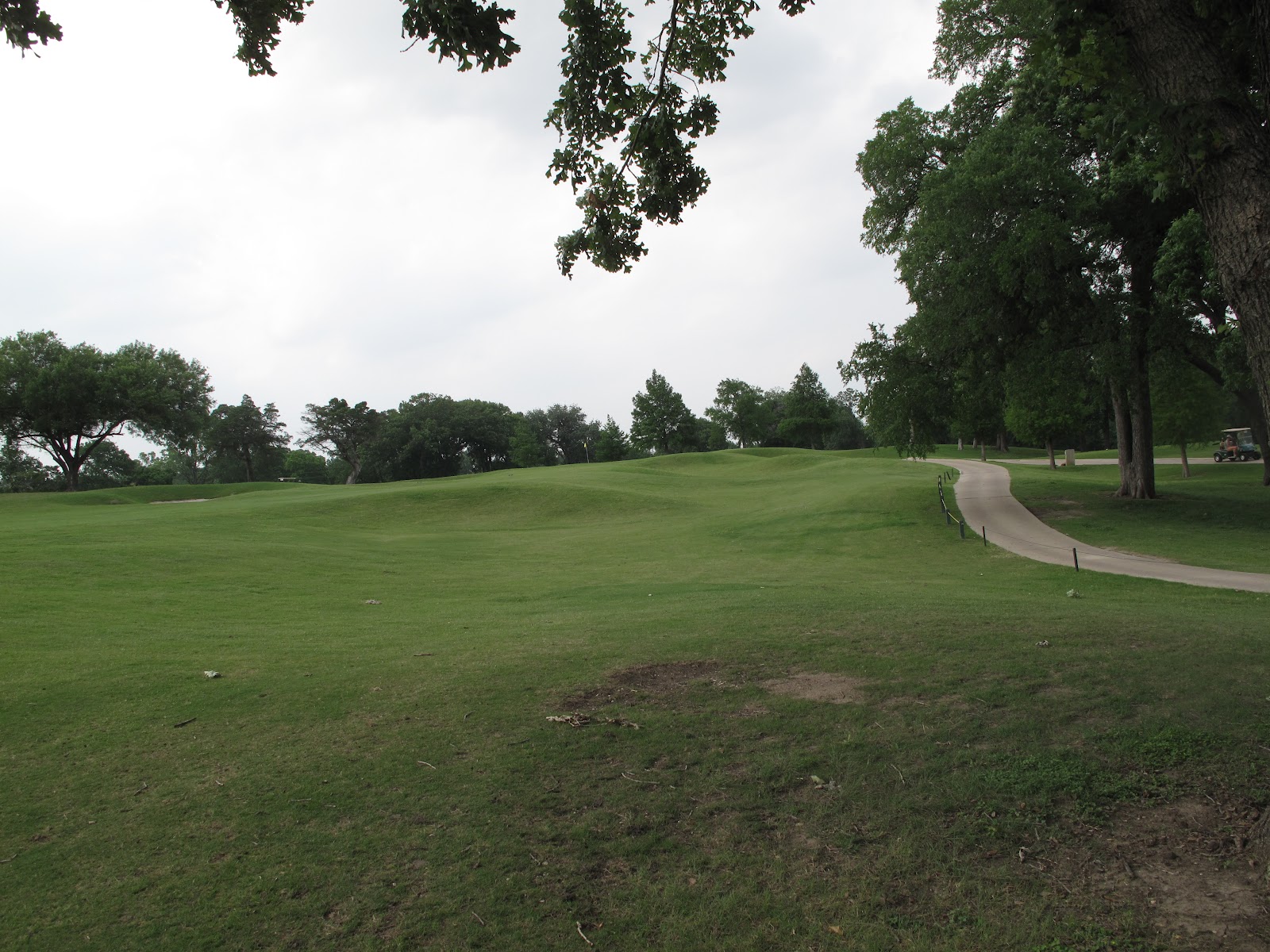 Divots Throughout Dallas: Cedar Crest Golf Course