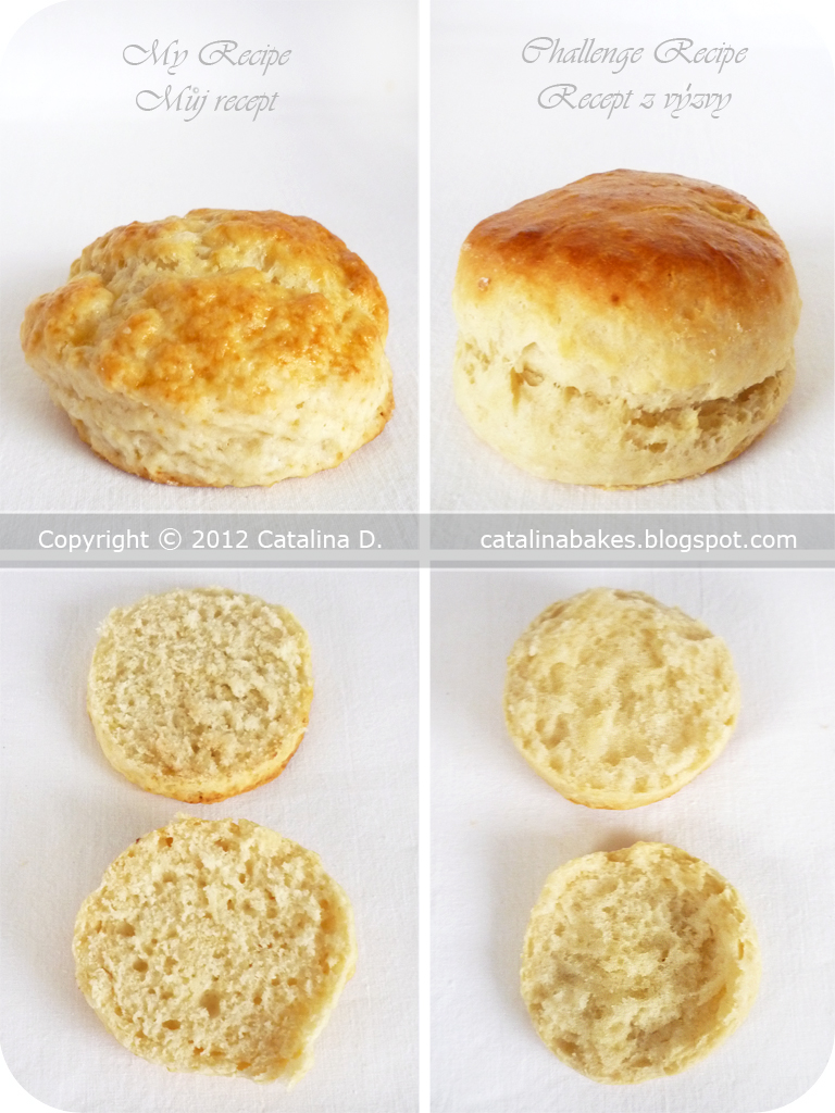 Catalina Bakes: The Daring Bakers' Challenge: Traditional Scones
