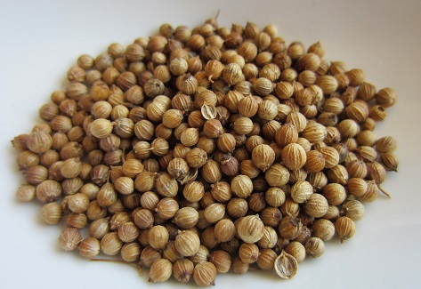 FARMAKOGNOSI: CORIANDRI FRUCTUS