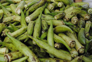 Revista El Cañero: El molondrón y sus propiedades