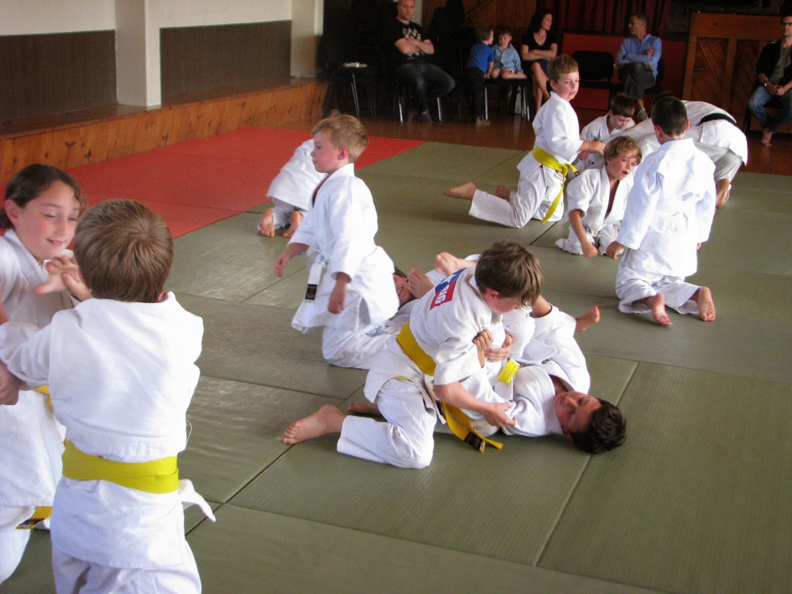 BIG JUDO : January 2015