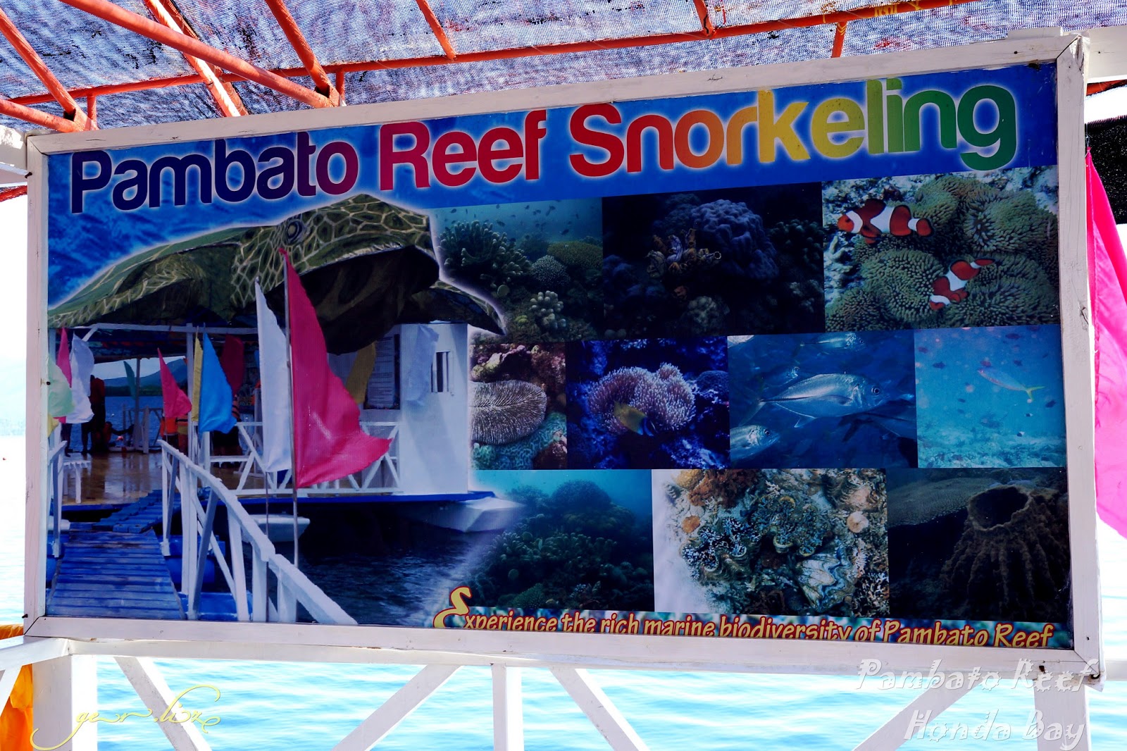 Honda Bay: Pambato Reef [Puerto Princesa 2013] | Trips... by Liz