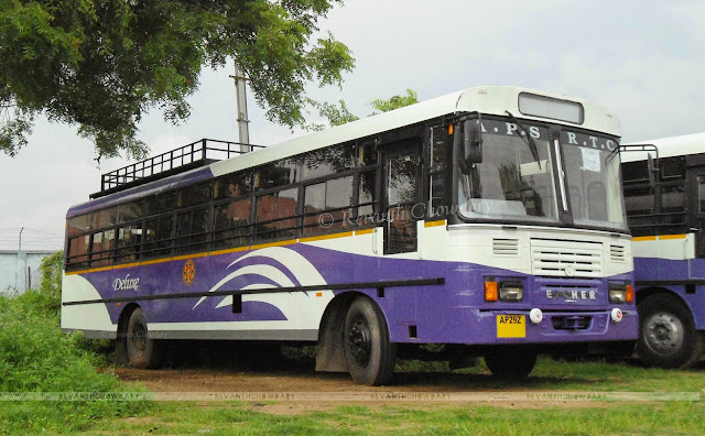 LOVE of Z: New DELUXE Buses