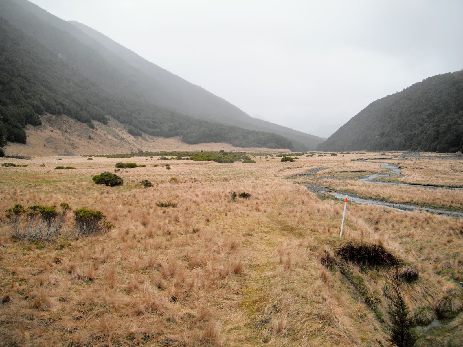 Tramping in the New Zealand backcountry: NZ Bush Adventures: Andrews ...