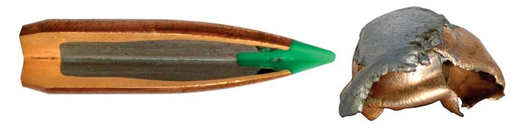 Rosenro7XD: Morfología de un Proyectil