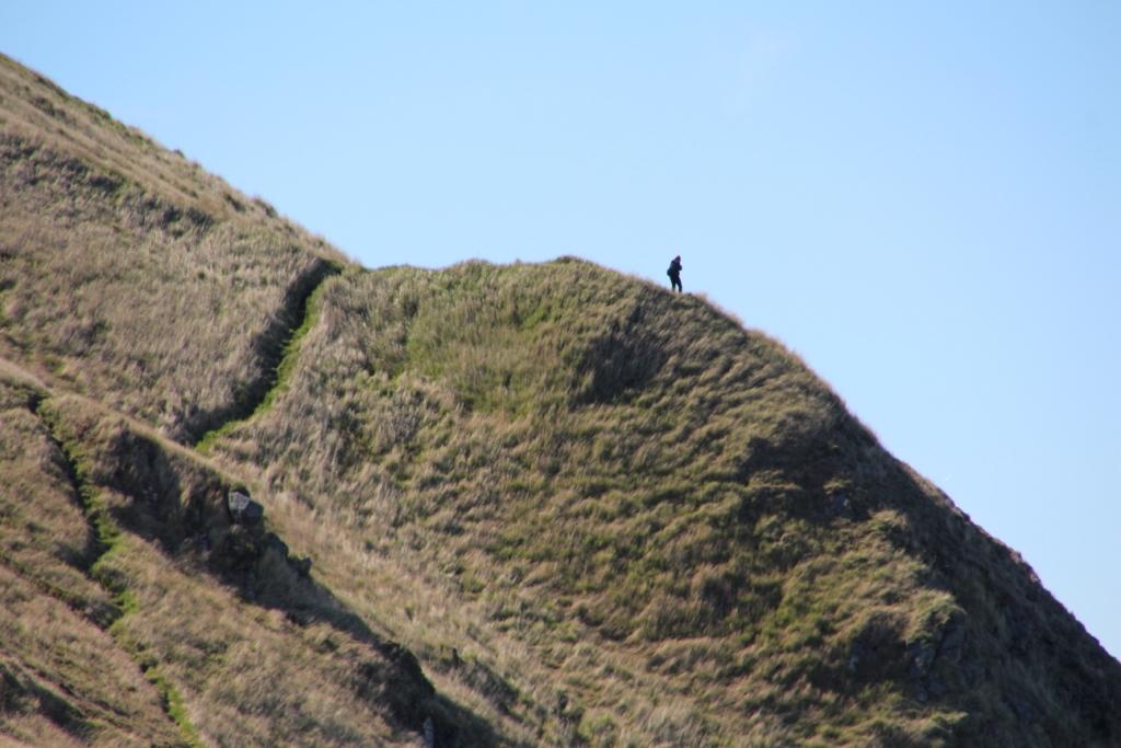 each day an adventure in alaska: around Round Island...