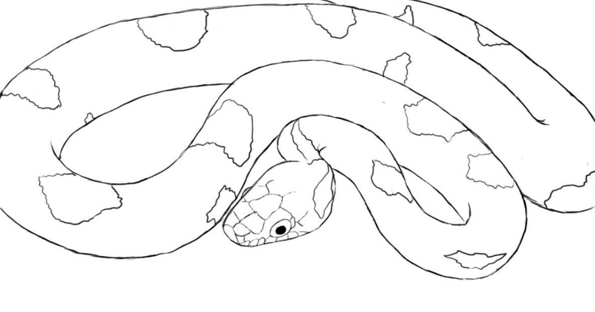 Simple Snake Drawing | Wallpapers Gallery