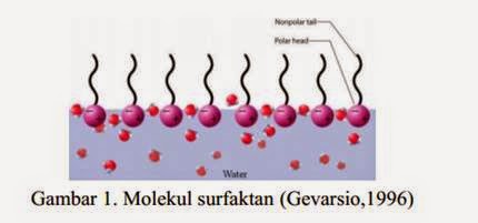 Surfaktan | Semua Tentang Kimia