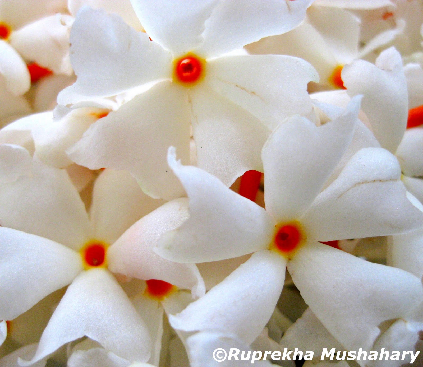 Feelings: Autumn is here again ....