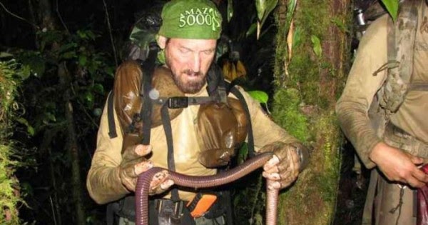 '18 : Giant Gippsland Earthworm from Australia