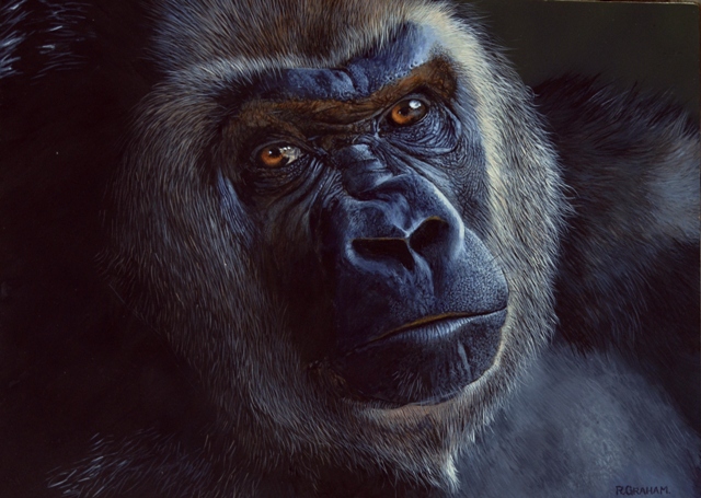 VL Studio Visits: UK Wildlife Artist Robbie Graham Featured Studio Visit.