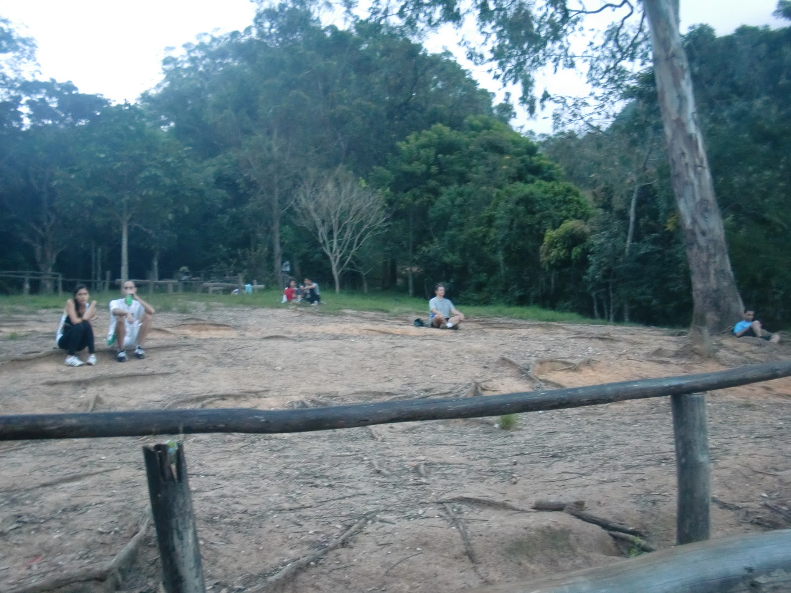 El ÁVILA: Sabas Nieves