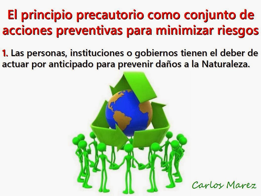 TICs: PRINCIPIO PRECAUTORIO