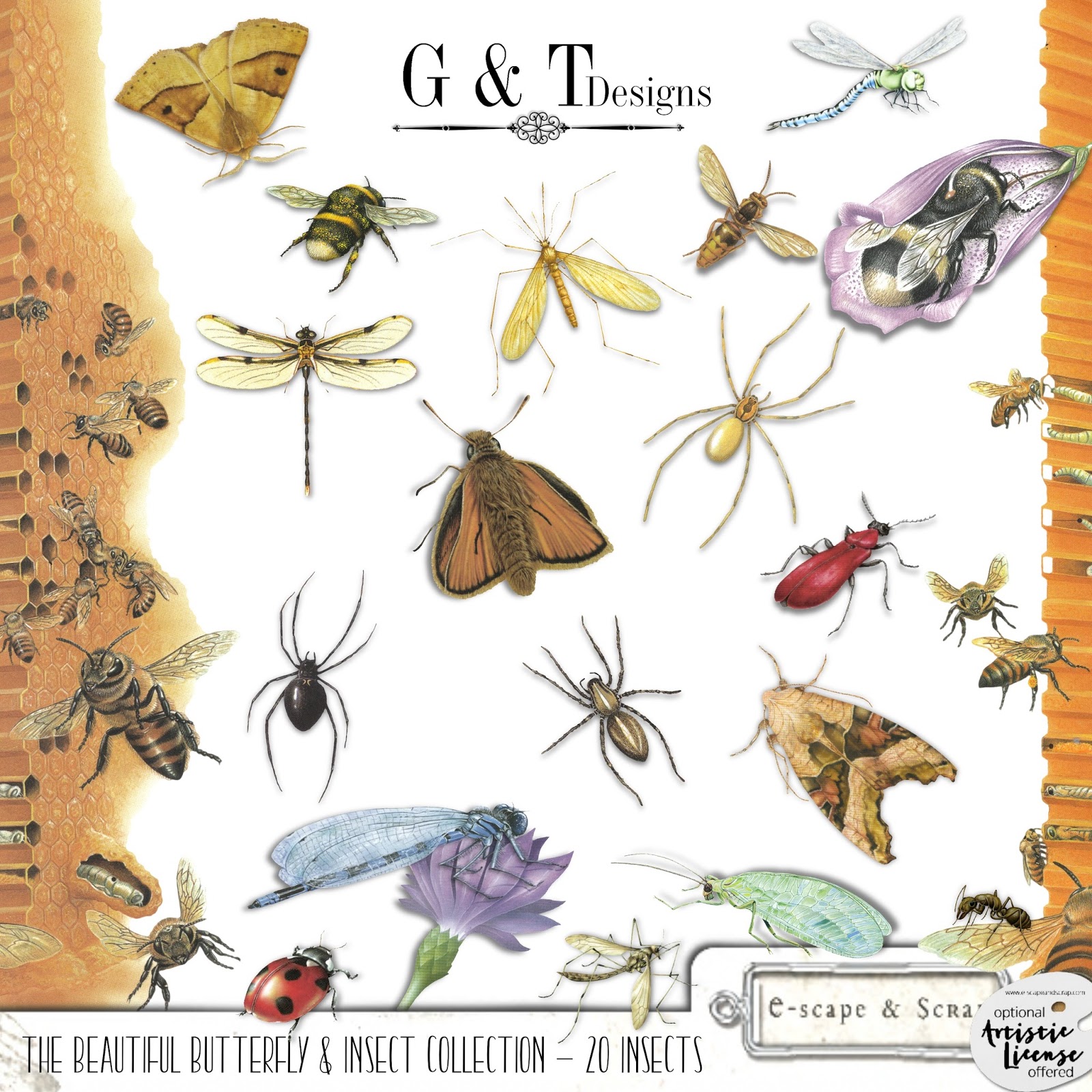 E-scape and Scrap: Julie Mead & G&T Designs - The Beautiful Butterfly ...