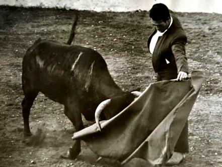 Asociación Toreo en Red Hondo: LAS VERDADES DEL TOREO DE VERDAD (17 ...