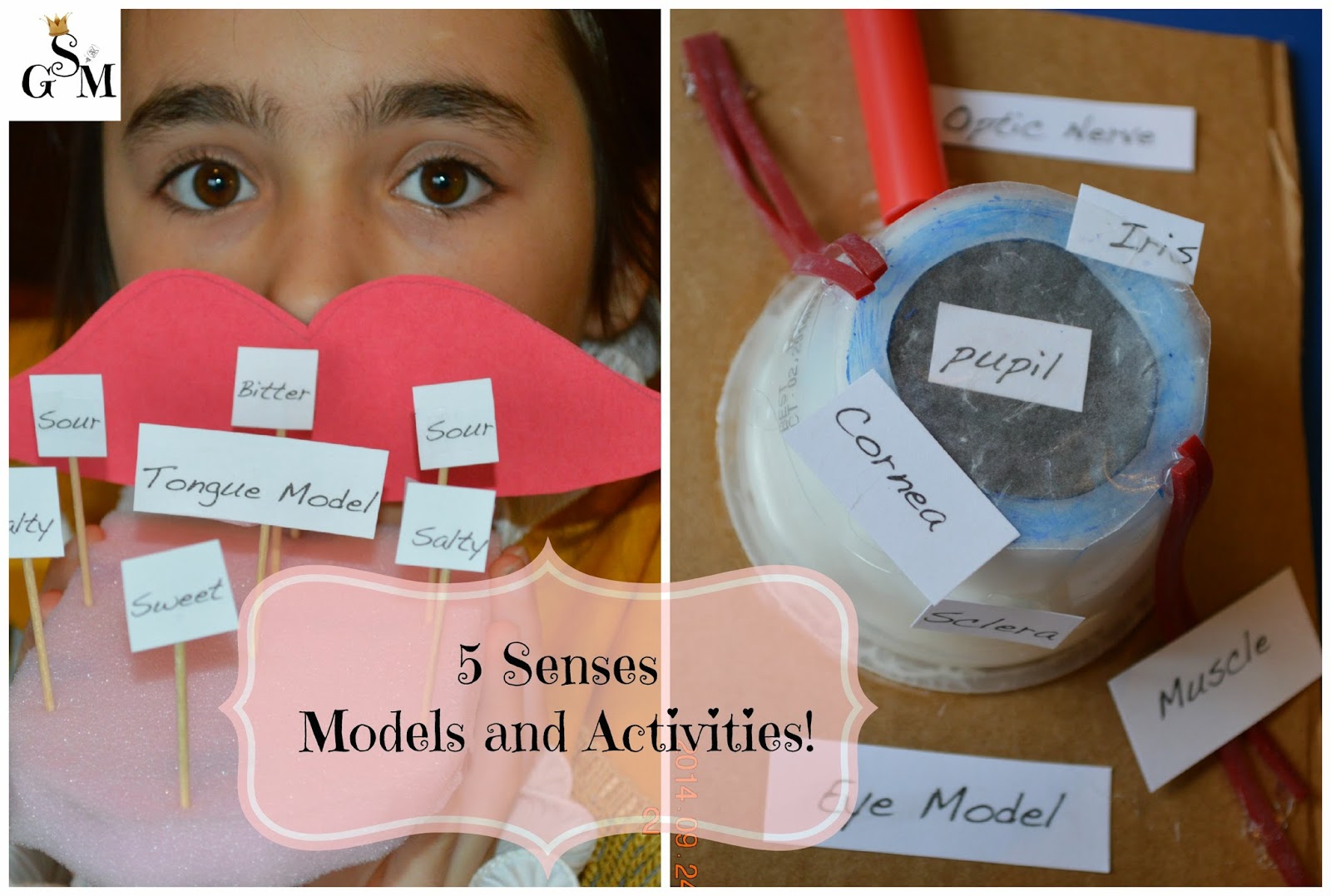 Solagratiamom: 5 Senses - Models and Activities!