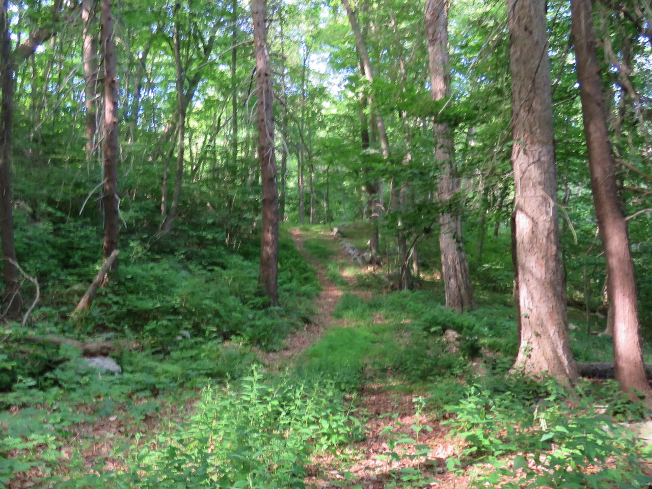 Gone Hikin': Fahnestock State Park, NY - Canopus Lake