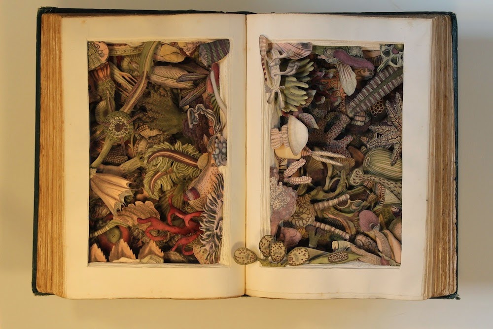 Design Stack: A Blog about Art, Design and Architecture: Discarded ...