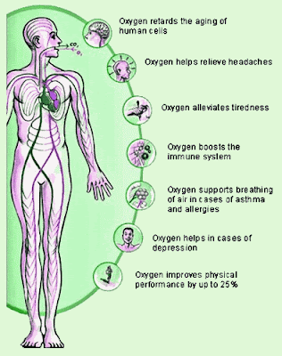 HEALTH COACH: Part Four: How to Take Care of Your Immune System and ...