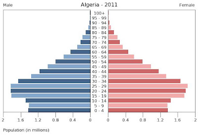 Middle East and North Africa's Carbon Footprint: Population Pyramids of ...
