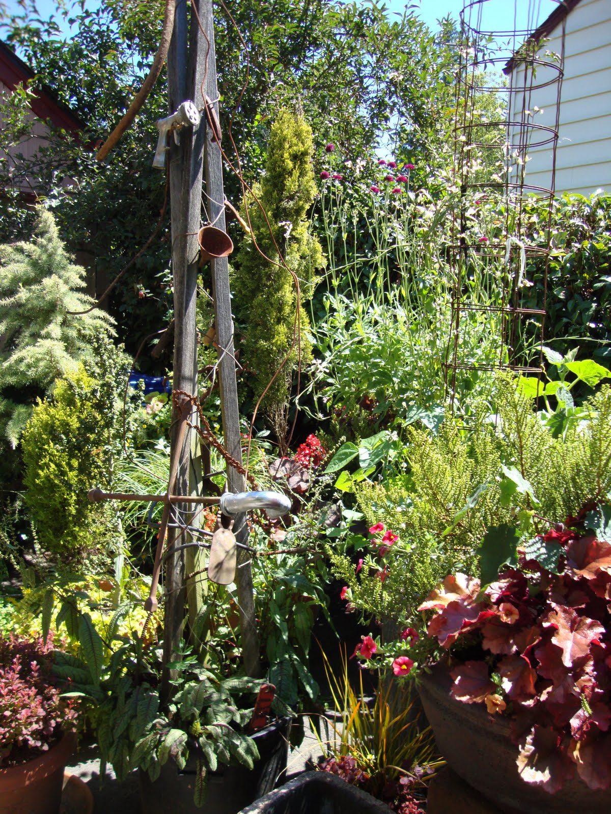 danger garden: The garden of Kate Farley