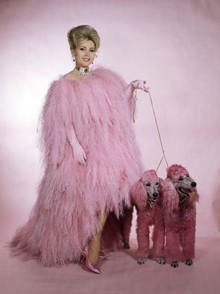 dbriefed: December 2016