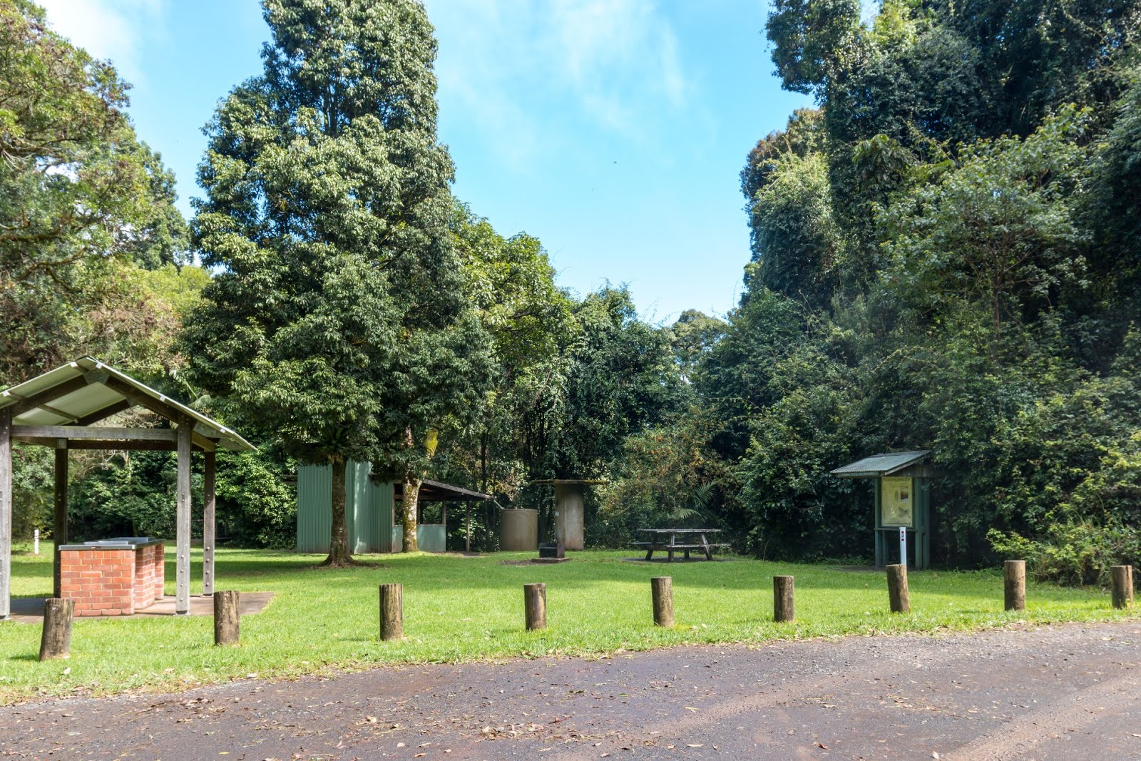 National Park Odyssey: Forest Tops Campground, Border Ranges National ...