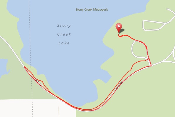 DETROIT RUNNER....: Freeze Your Franny 5k Race Review