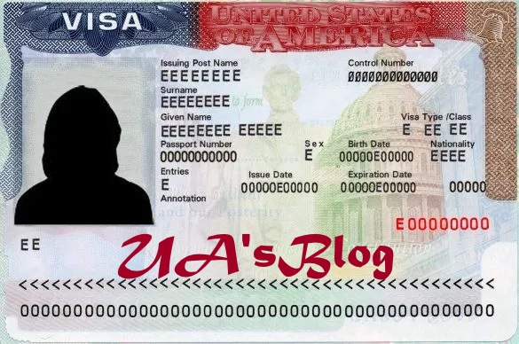 Fake visas: U.S. bans female accountant for life - Welcome to Uju ...