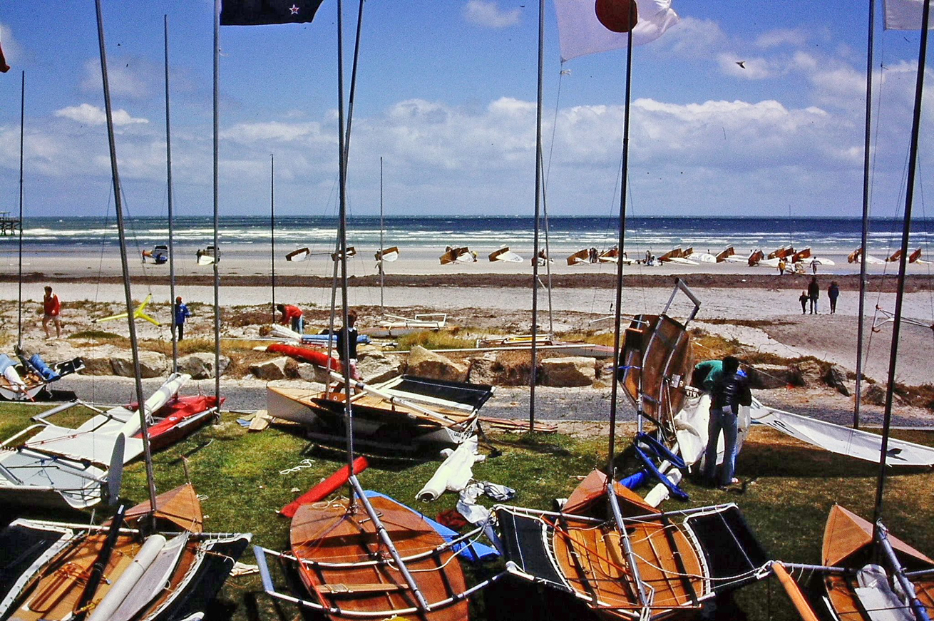 Earwigoagin: Header Photos: Scow Moth, Largs Bay 1986