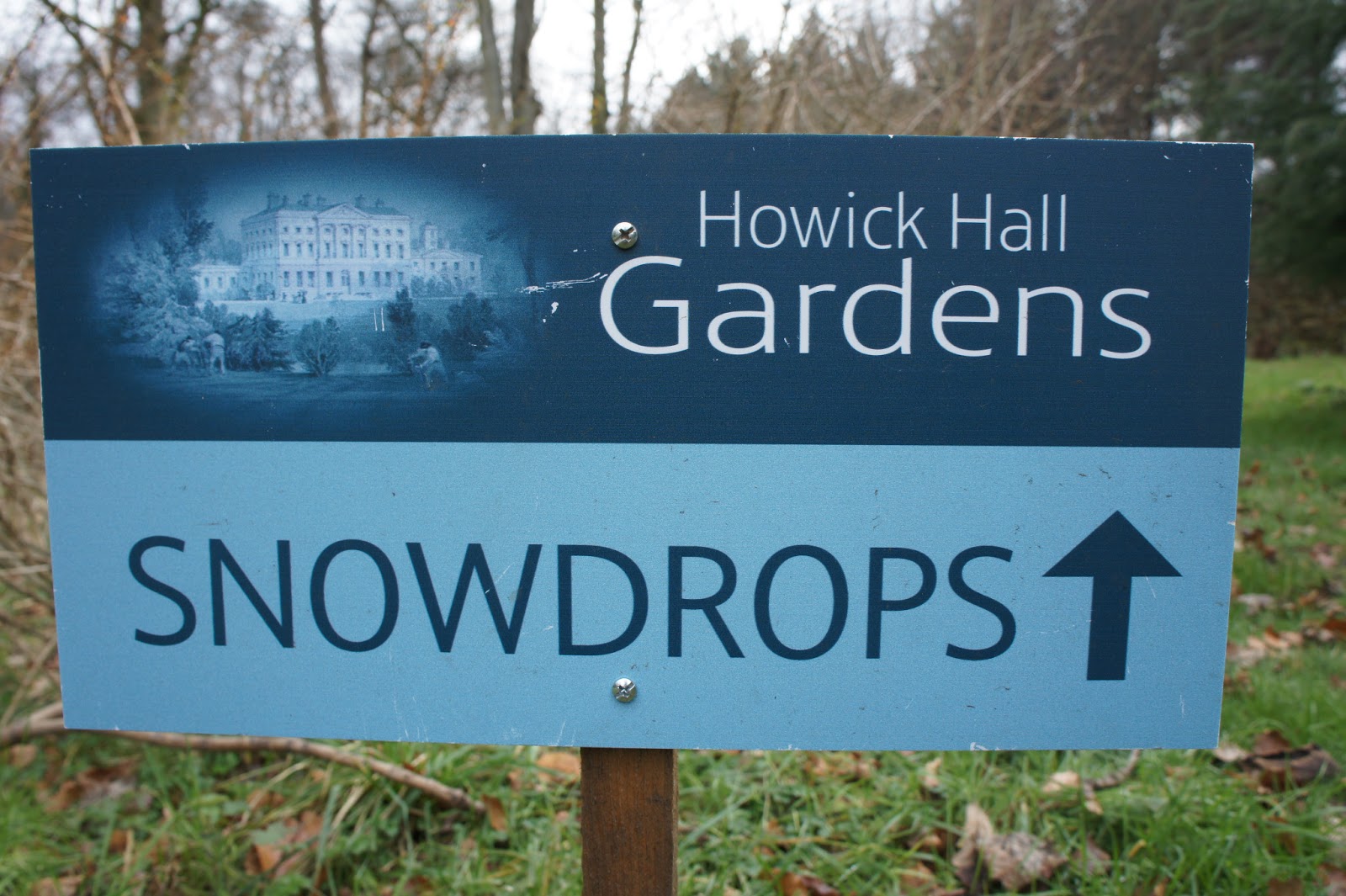 Howick Hall - the Snowdrop festival - Eccentric England travel and events