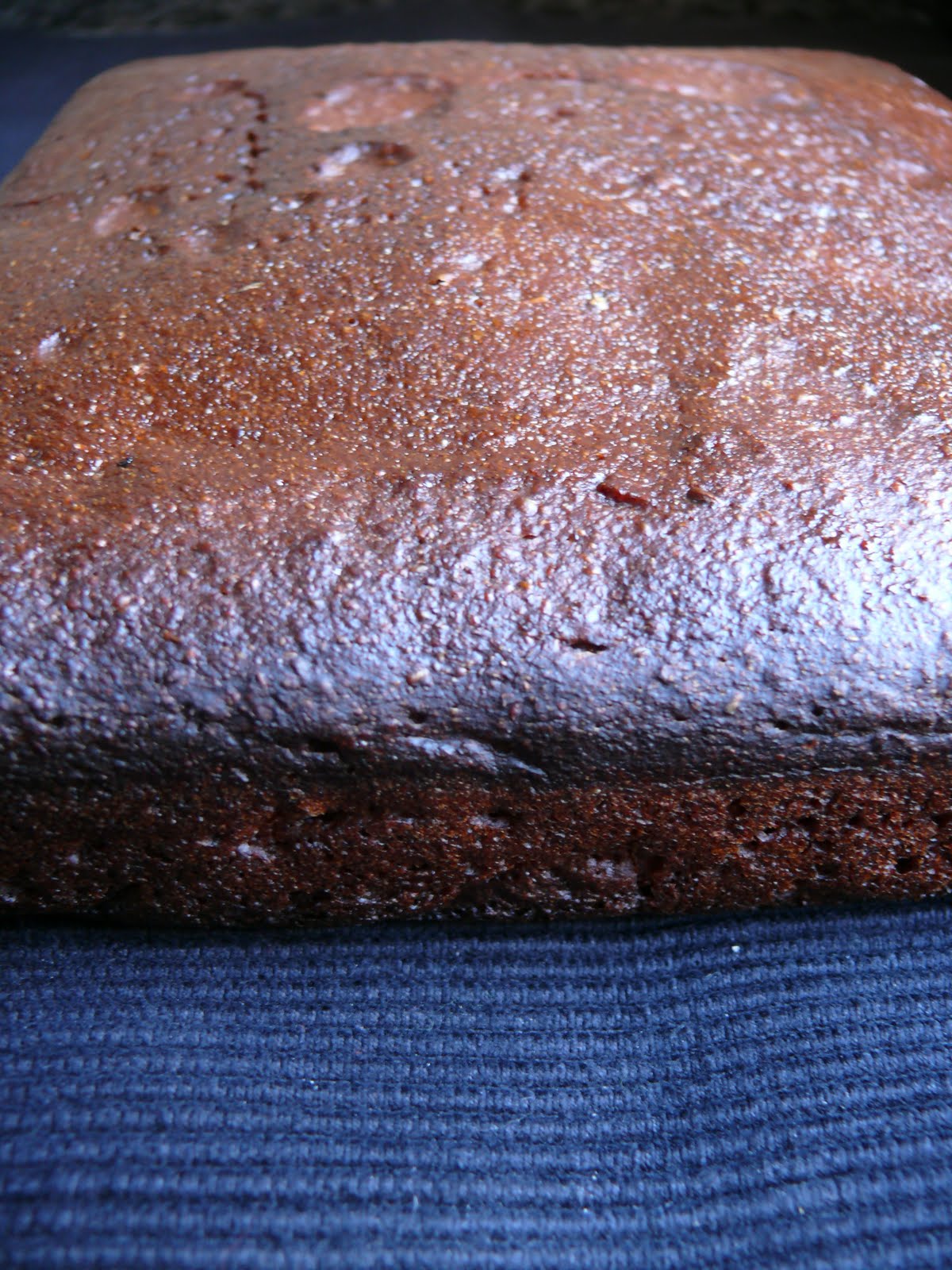 Irina, ura, gatza...Ogia!!: Suediako arrantzalen ogia