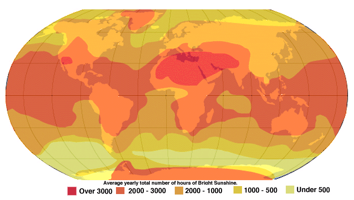 Biology - It Grows on You. : A Trip to the Desert: Biome Activity