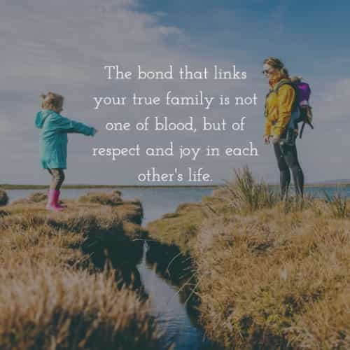 51 Family love quotes and sayings with images
