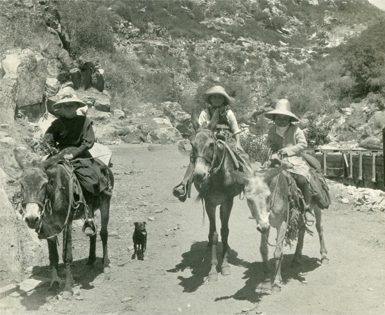 My Old Tulare County Pics